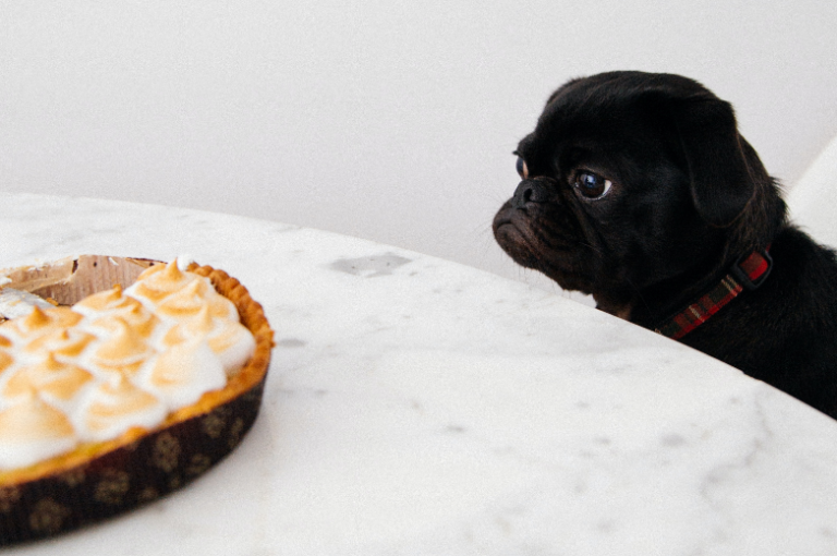 「分ける」英語・使い分け【separate, divide, split, share】 - michibablog